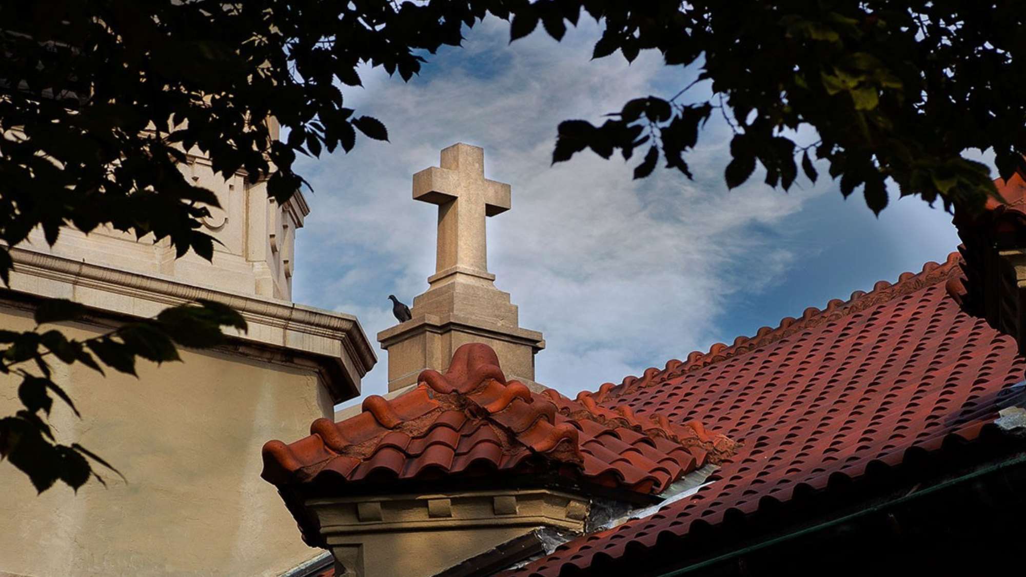 Pastor's Letter 1.26.25 - St Cabrini