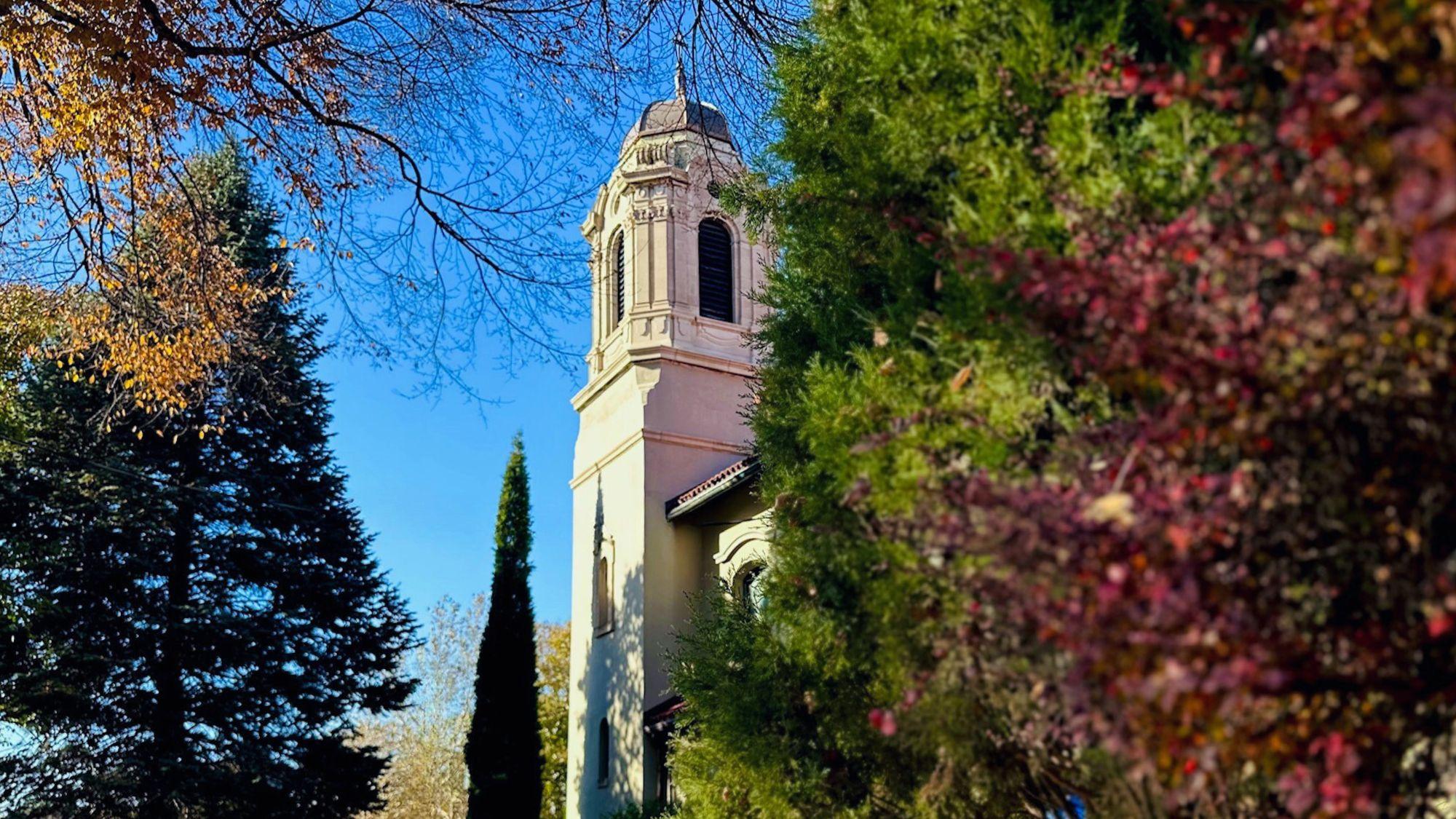 Pastor's Letter 11.15.25 - St Cabrini